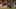 Premier League: Finally met - Wirtz redemption in Liverpool – Archyde