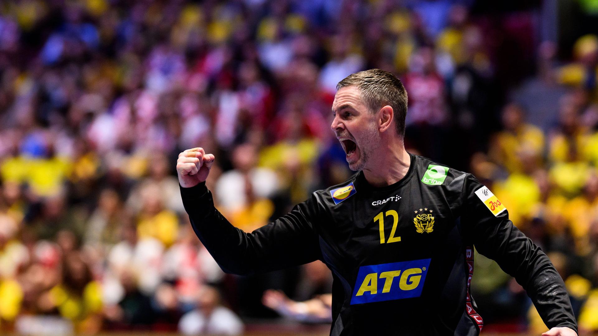 Sweden defeats Croatia in handball European Championship group final ...