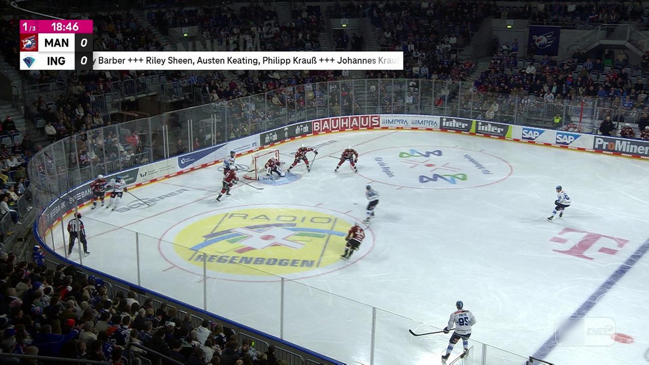 Adler Mannheim verlieren Spitzenspiel gegen ERC Ingolstadt | sportschau.de