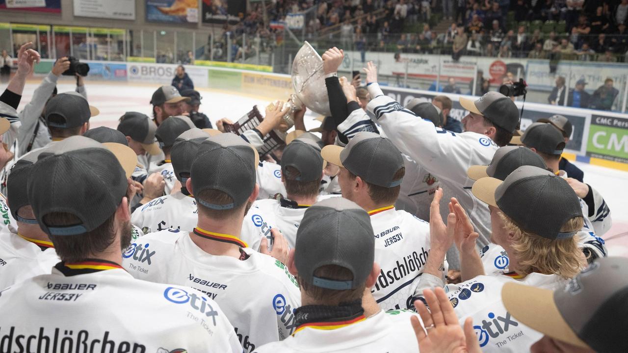 Eishockey: Dresdner Eislöwen - vom Meister zum Absteiger? | sportschau.de