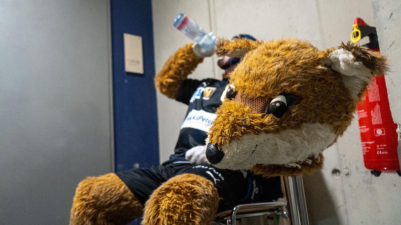 Handball | Füchse-Maskottchen: "Ab jetzt bin ich nur noch Fuchsi": Ein ...