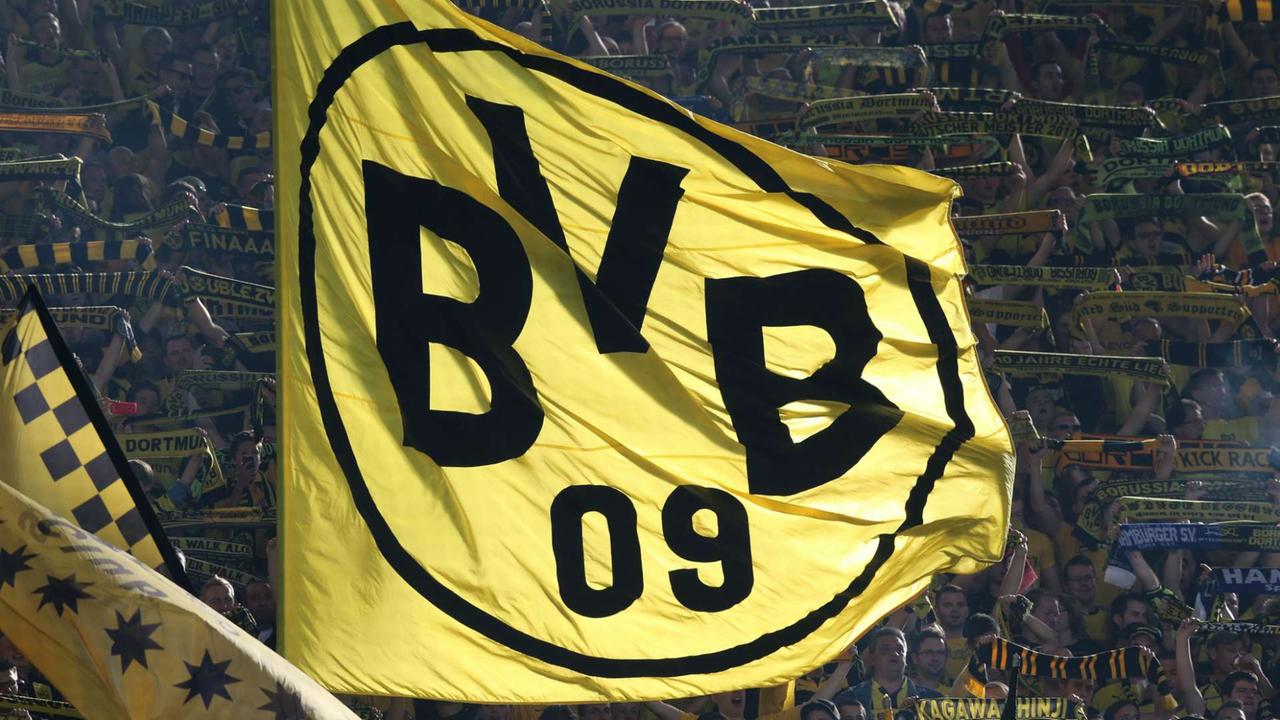 Borussia Dortmund II: Profil | Sportschau.de