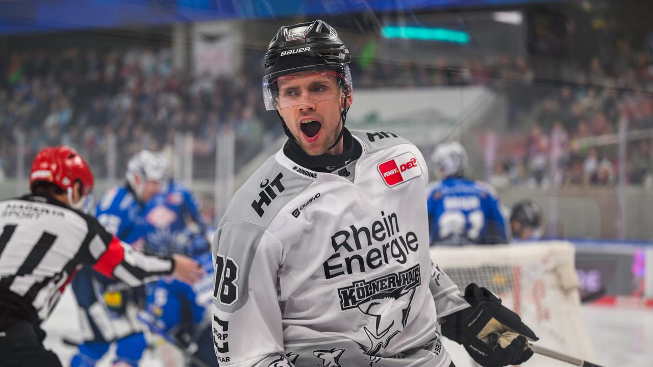 Nächster Sieg in der DEL: Kölner Haie geben sich in Dresden keine Blöße ...